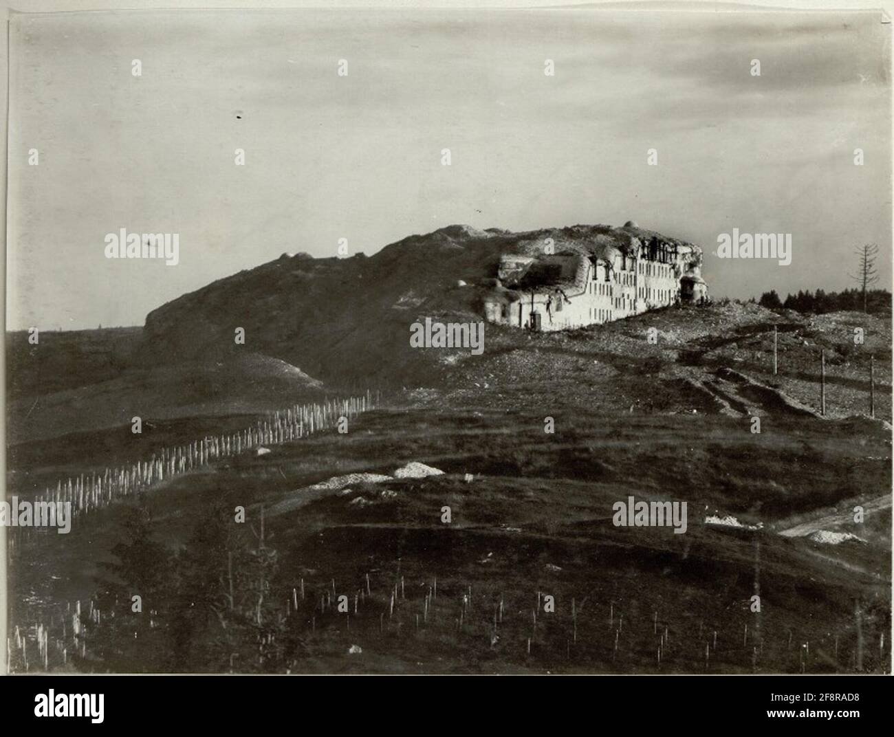 Science field work hi-res stock photography and images - Alamy