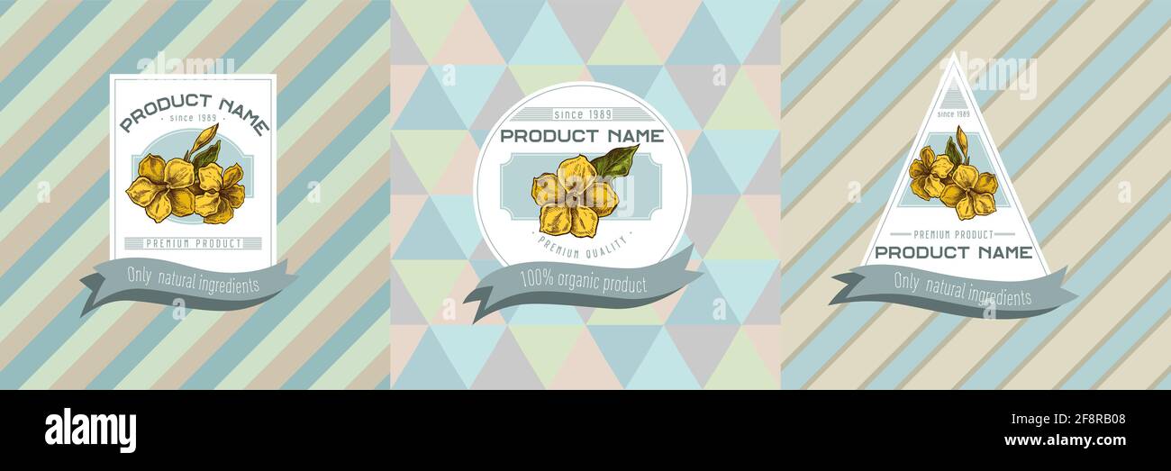 Three colored labels with illustration of allamanda Stock Vector Image ...