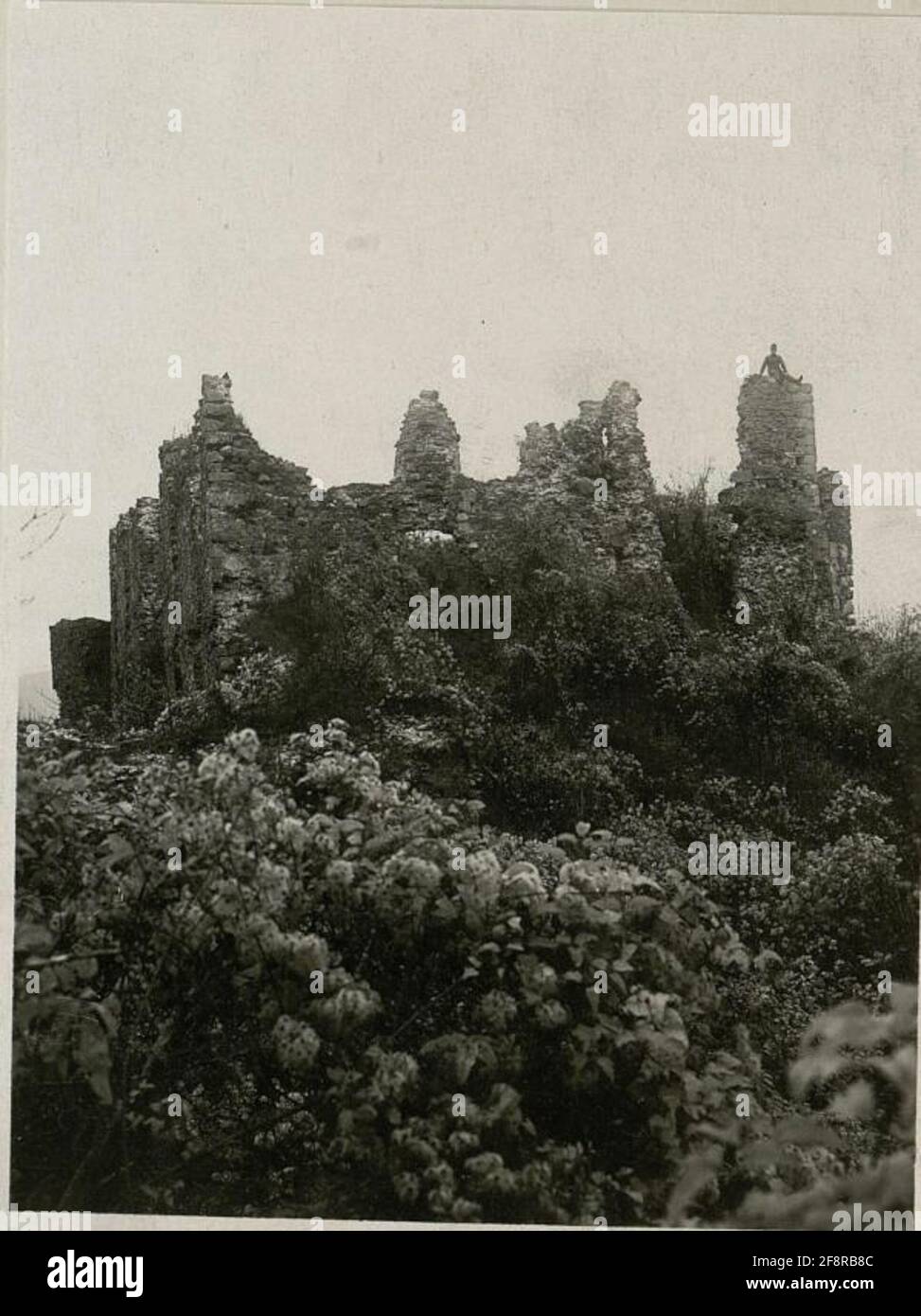 Huszt hi-res stock photography and images - Alamy