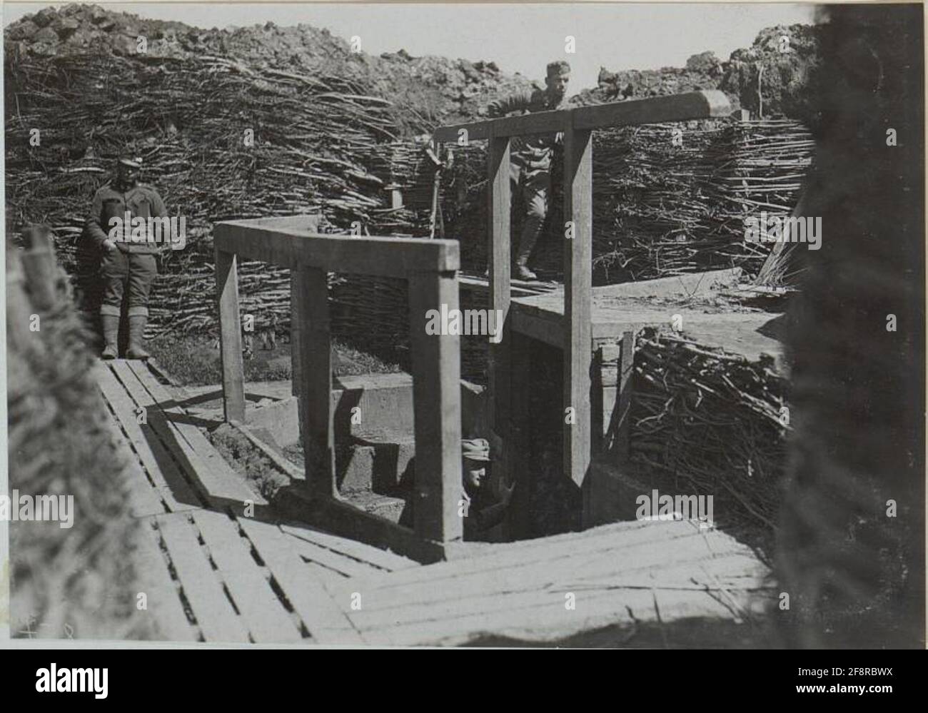 H fuchs hi-res stock photography and images - Alamy