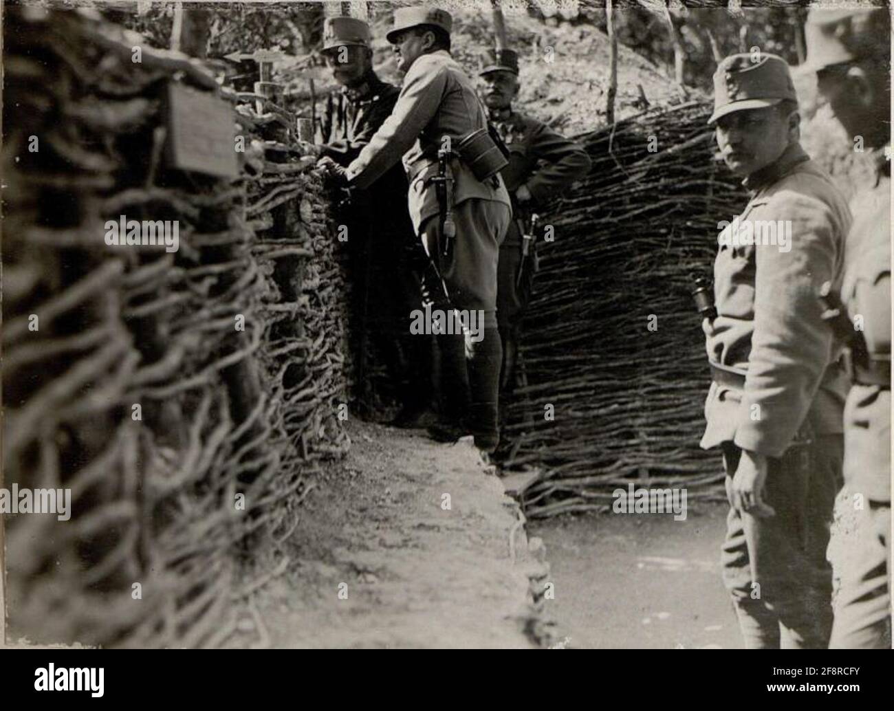 Inspecting by its excellence General of the Infantry Succovaty v. Vezza ...