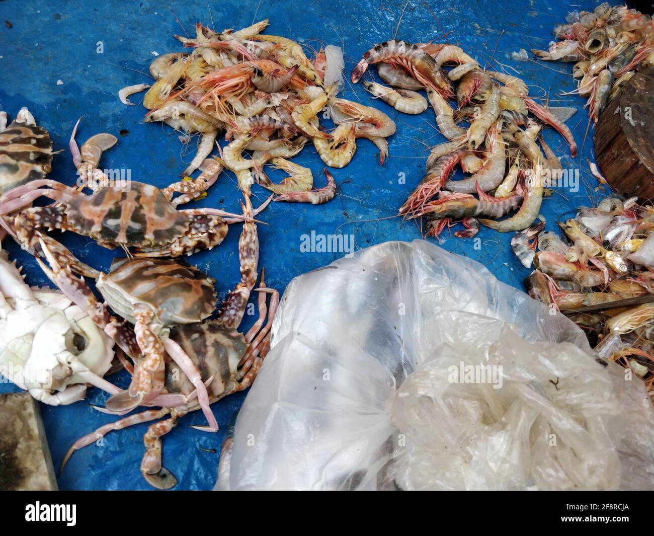 Top view of freshly caught seafood displayed on the wet market in ...
