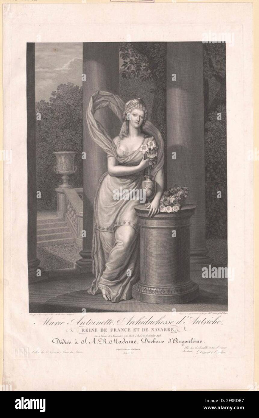 Marie Antoinette, Archduchess of Austria Stock Photo - Alamy