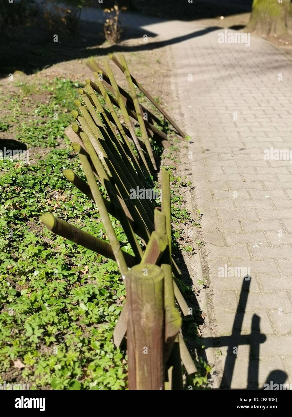 Vertical shot of a damaged wooden fence in the park near the greenery ...