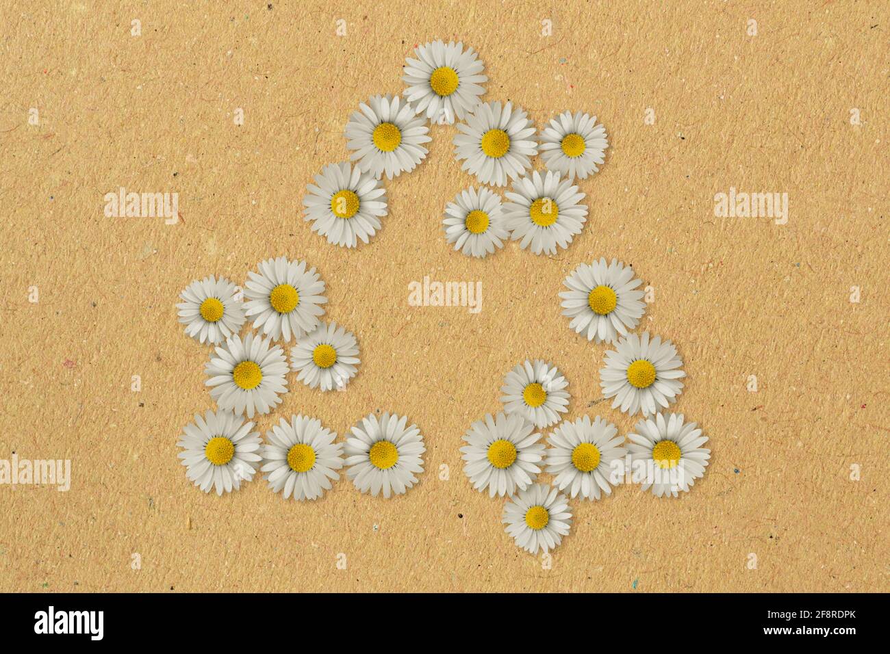 Recycling symbol made of daisy flowers - Concept of ecology and ...