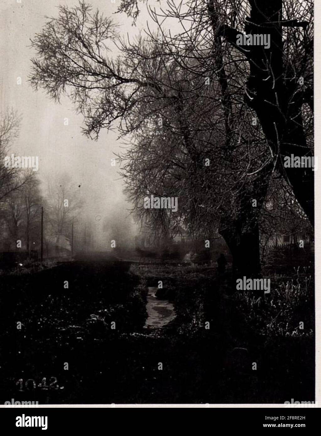 Snowing in Vladimir Wolinsky Stock Photo - Alamy