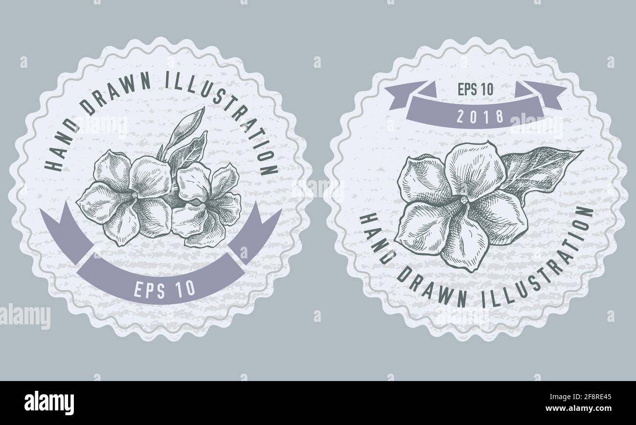 Monochrome labels design with illustration of allamanda Stock Vector ...
