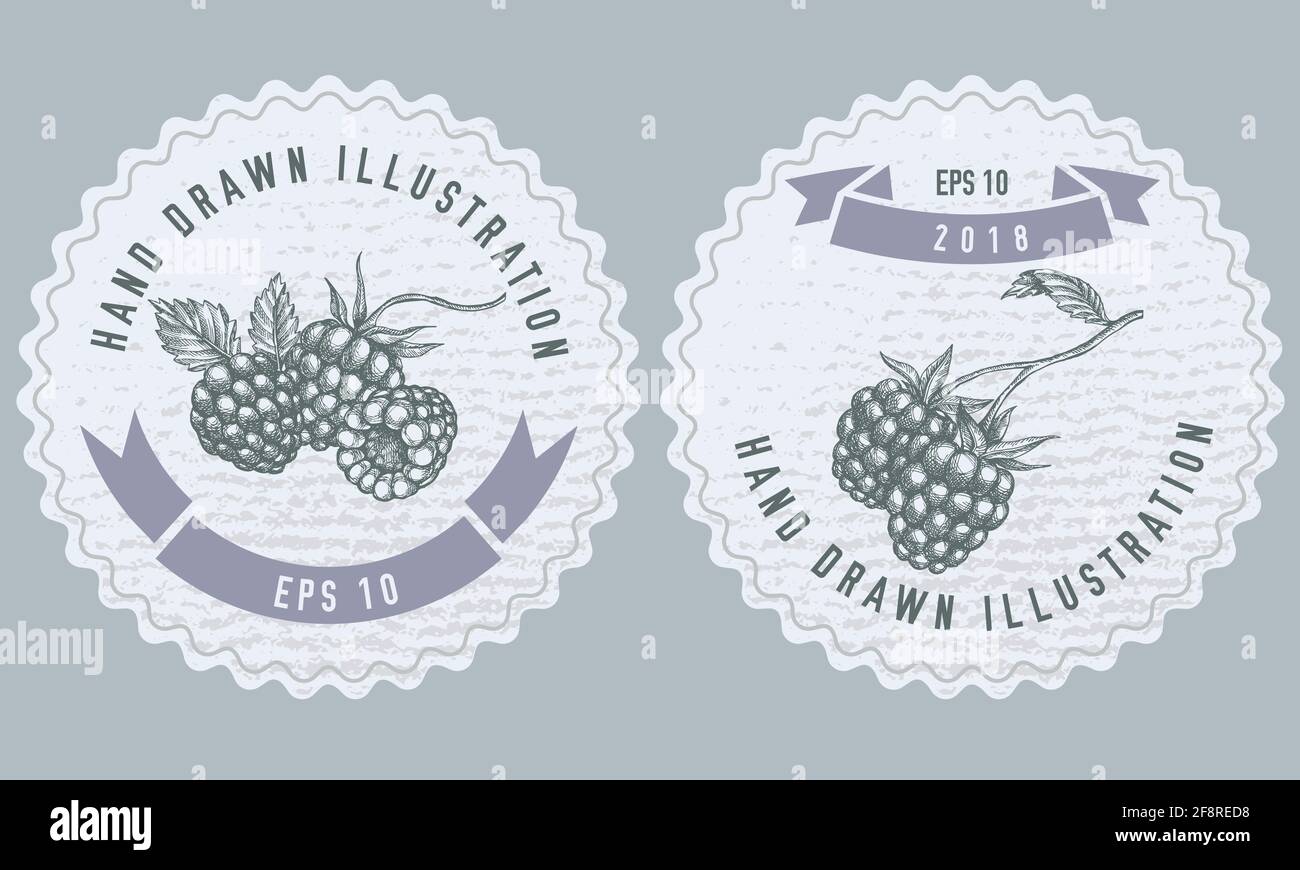 Monochrome labels design with illustration of raspberry Stock Vector ...