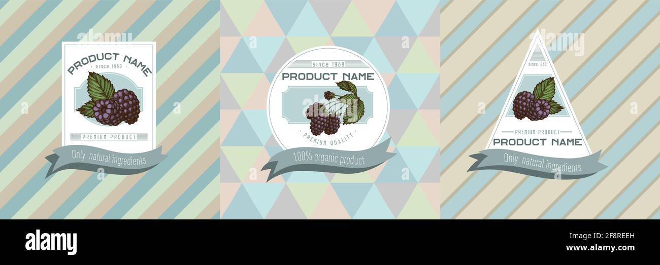 Three colored labels with illustration of blackberry Stock Vector Image ...