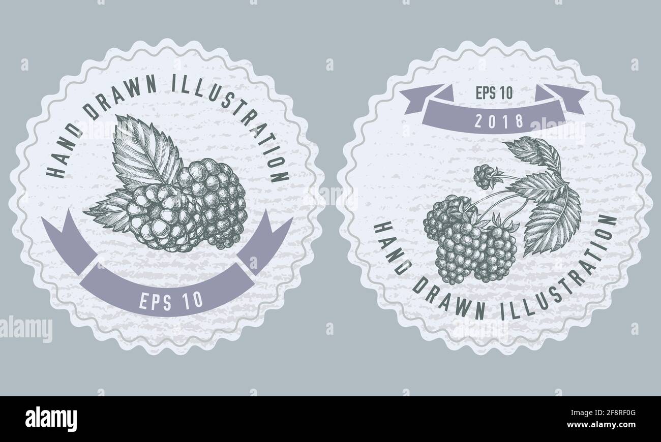 Monochrome labels design with illustration of blackberry Stock Vector ...