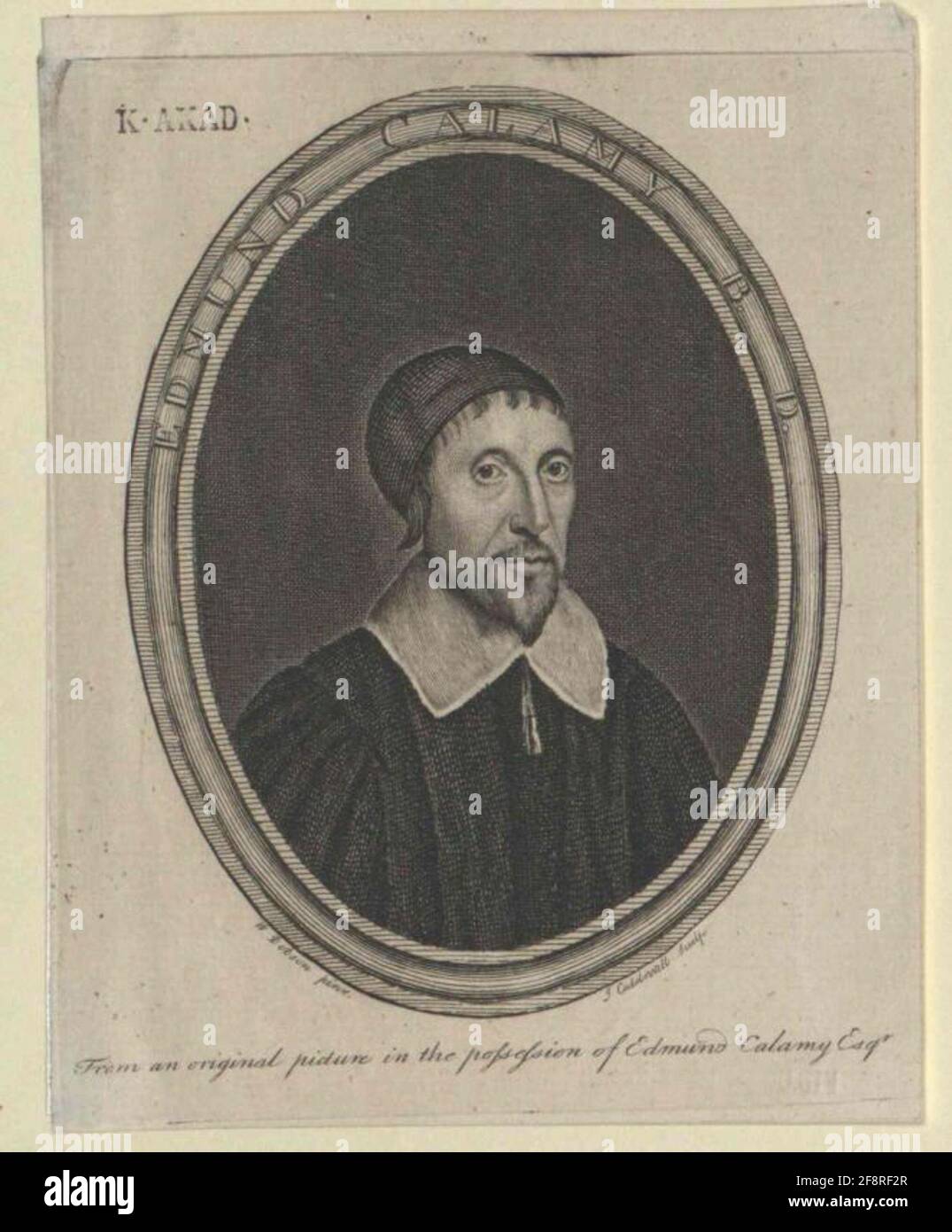 Calamy hi-res stock photography and images - Alamy