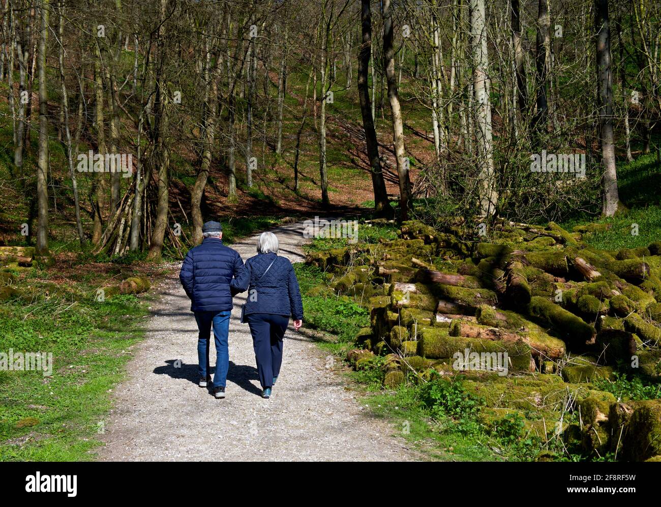 Millington Woods, East Yorkshire, England UK Stock Photo - Alamy