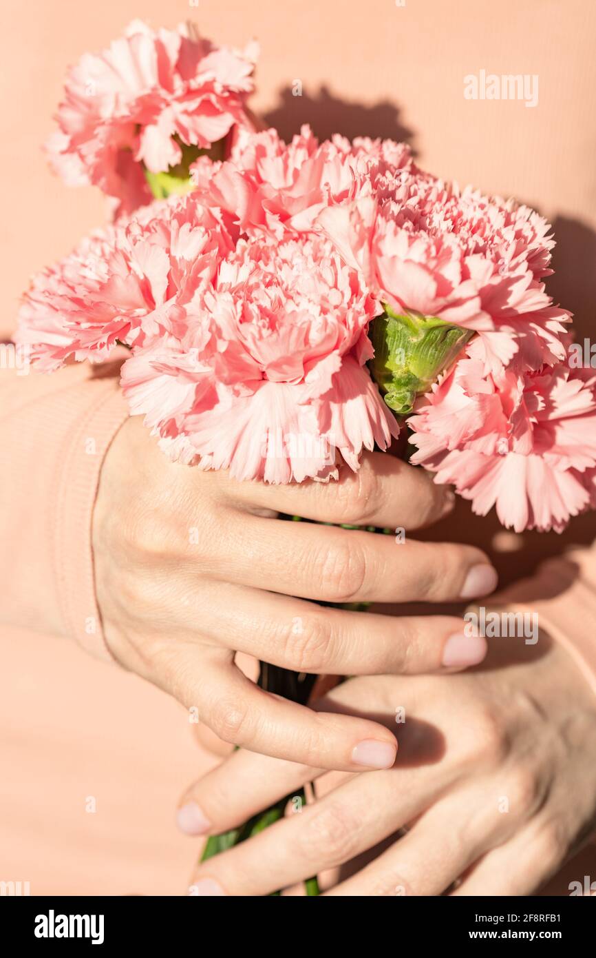 Holding carnation flower hi-res stock photography and images - Alamy