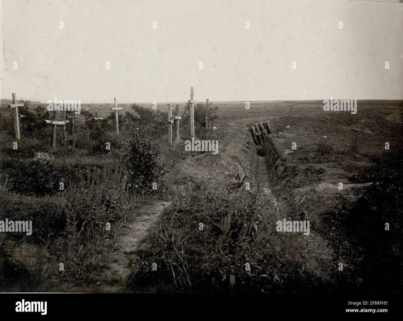 Trenched in the soldier cemetery at Zbrucz Stock Photo - Alamy