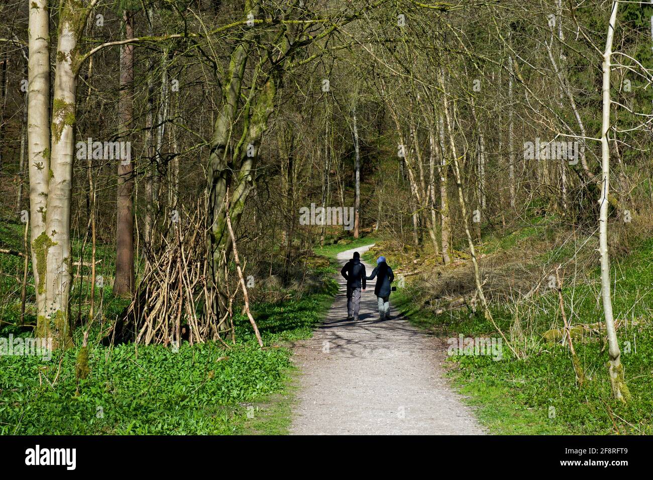 Millington Woods, East Yorkshire, England UK Stock Photo - Alamy