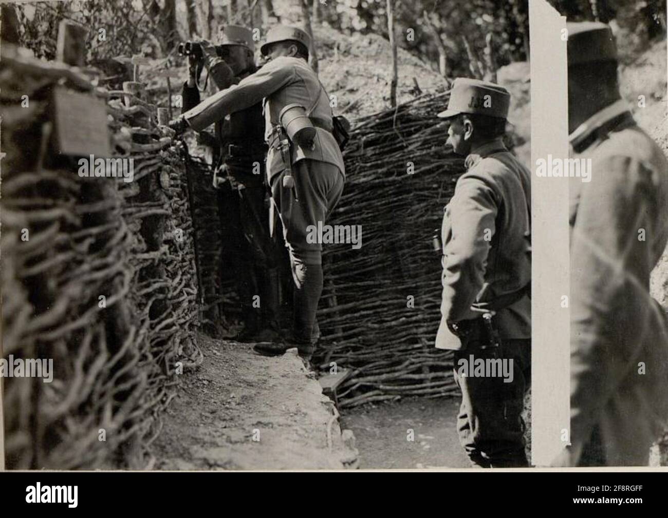 Inspecting by its excellence General of the Infantry Succovaty v. Vezza ...