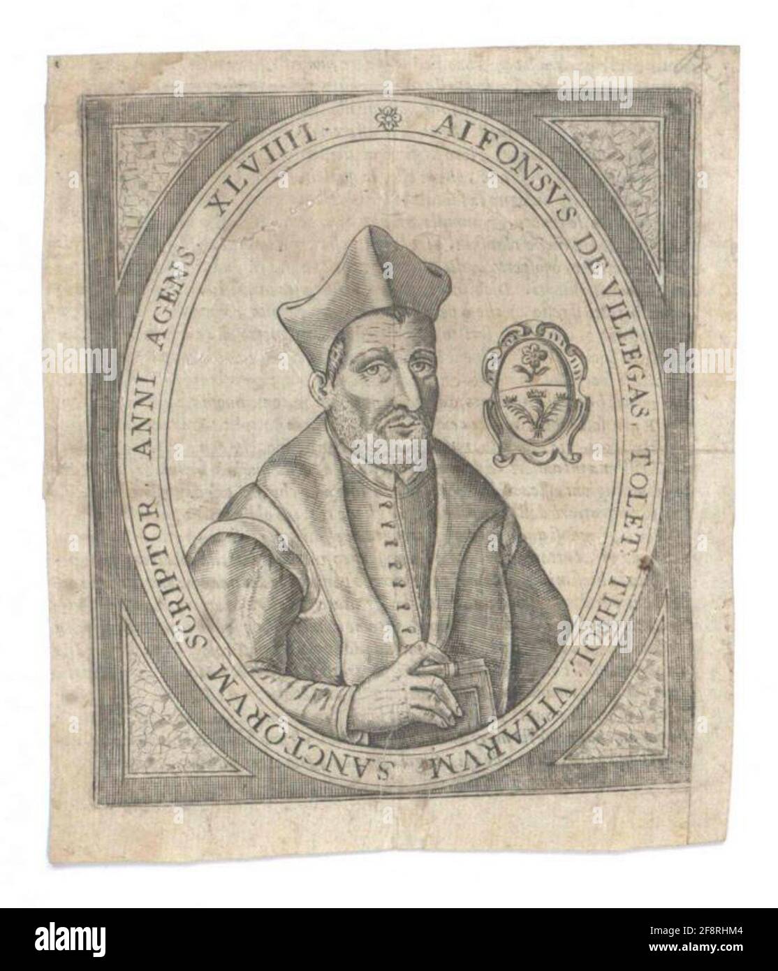 Alonso Cut Out Stock Images & Pictures - Alamy