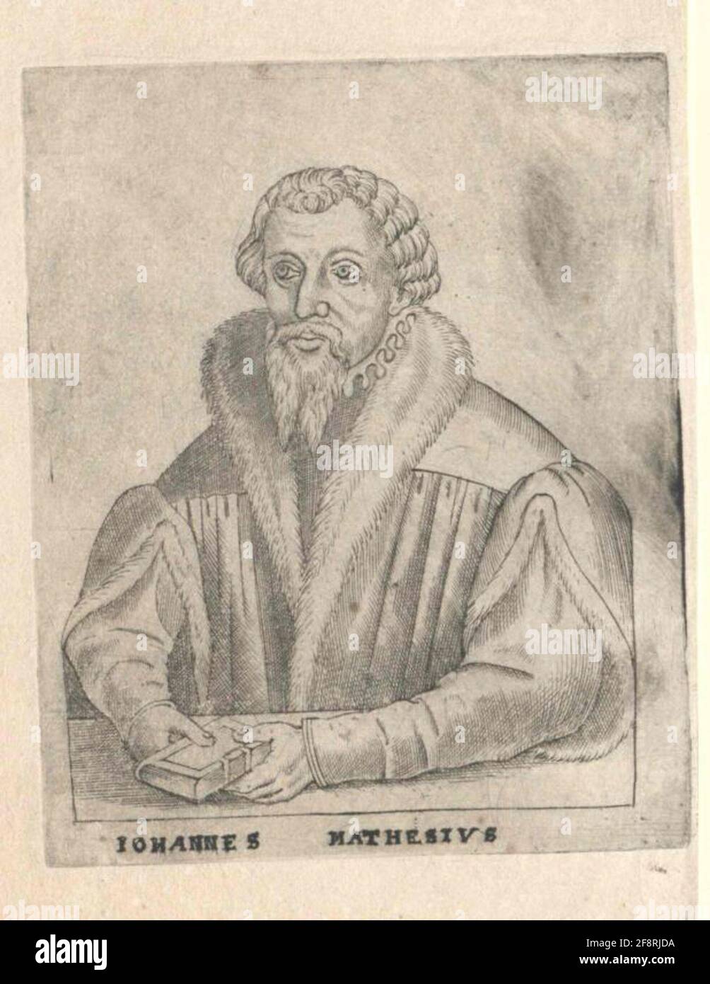 Mathesius hi-res stock photography and images - Alamy