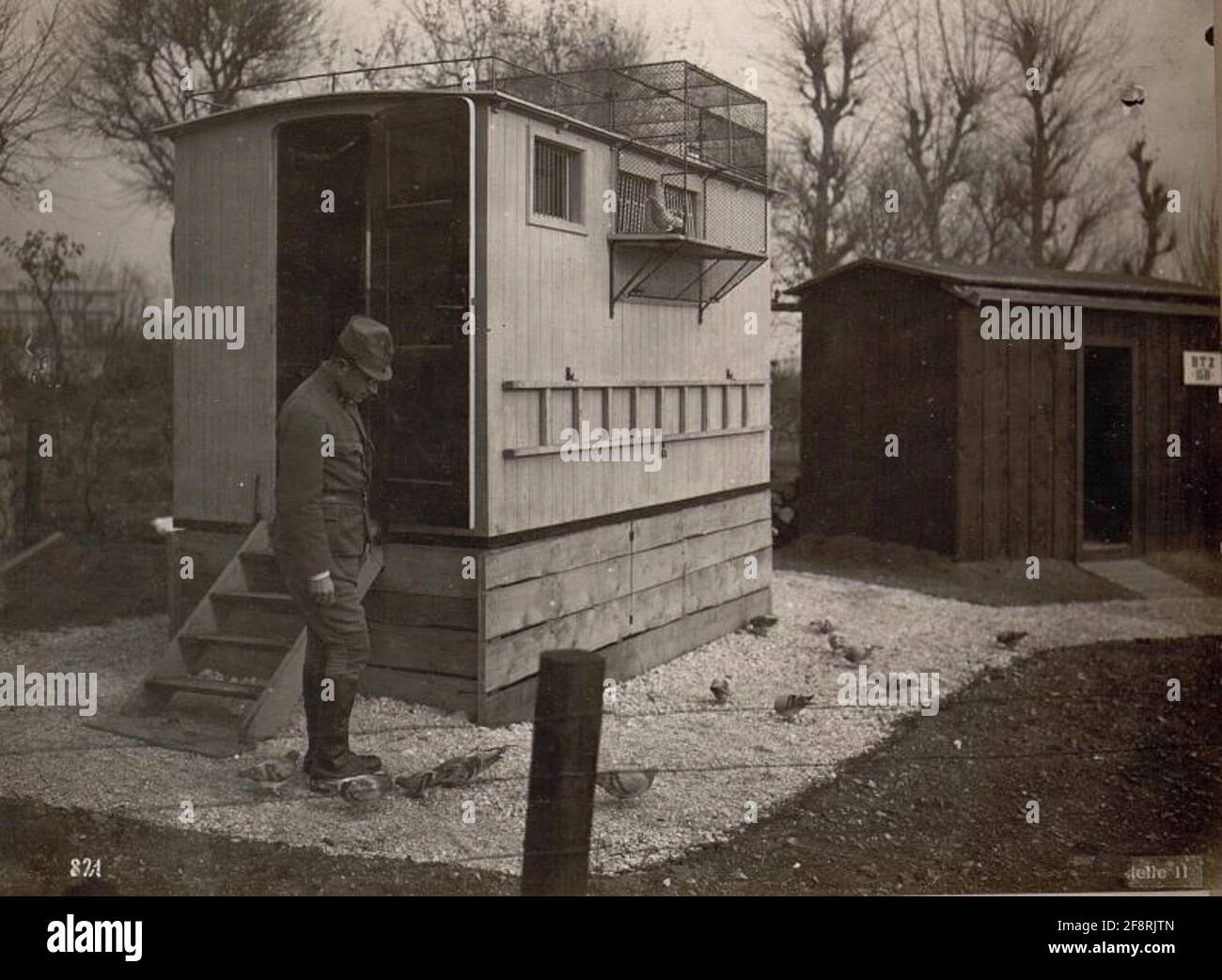 Trento. (Doss di Trento) pigeon car Stock Photo - Alamy