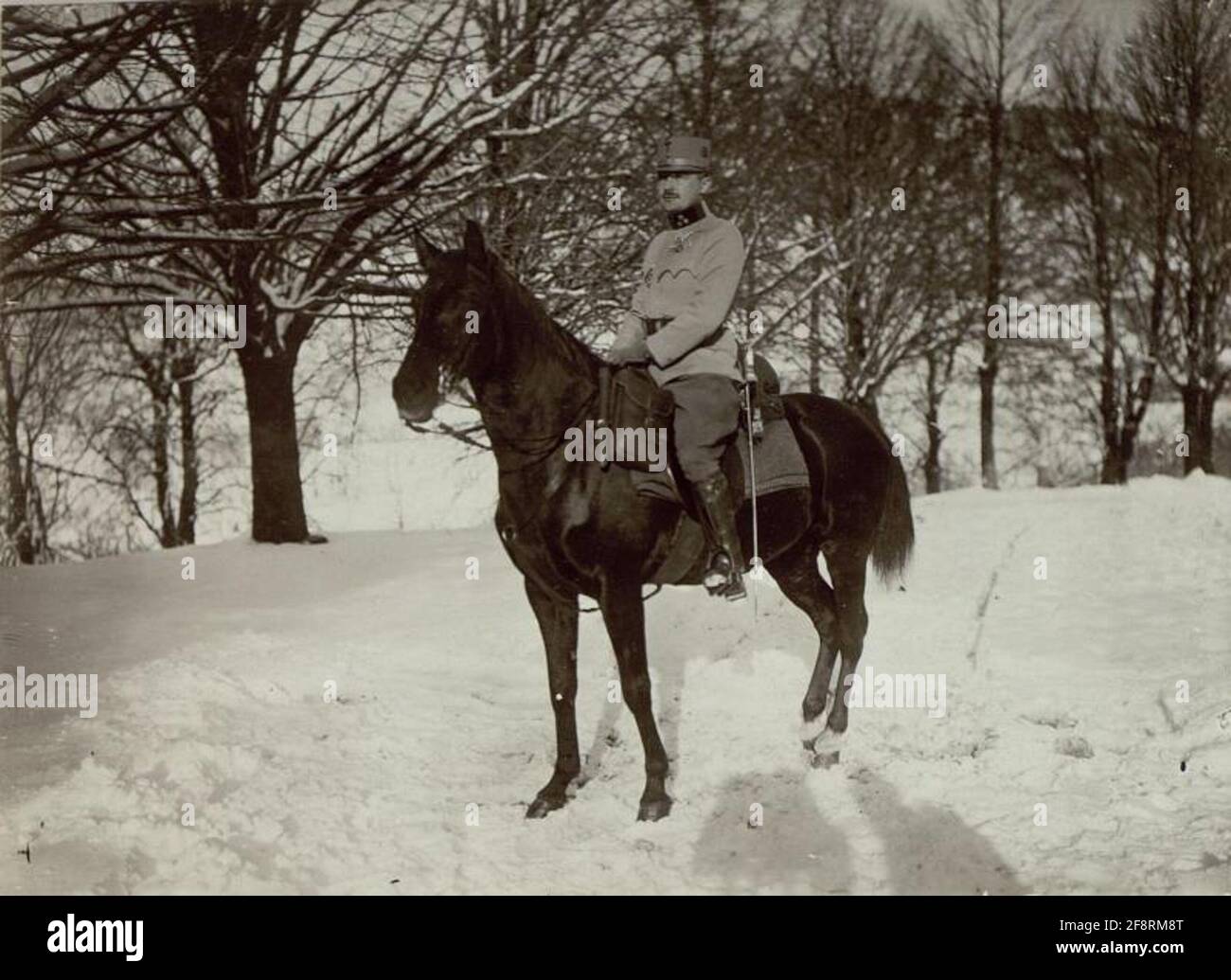 Captain Emil Paschek, member of the 5th Army General Basket Stock Photo ...