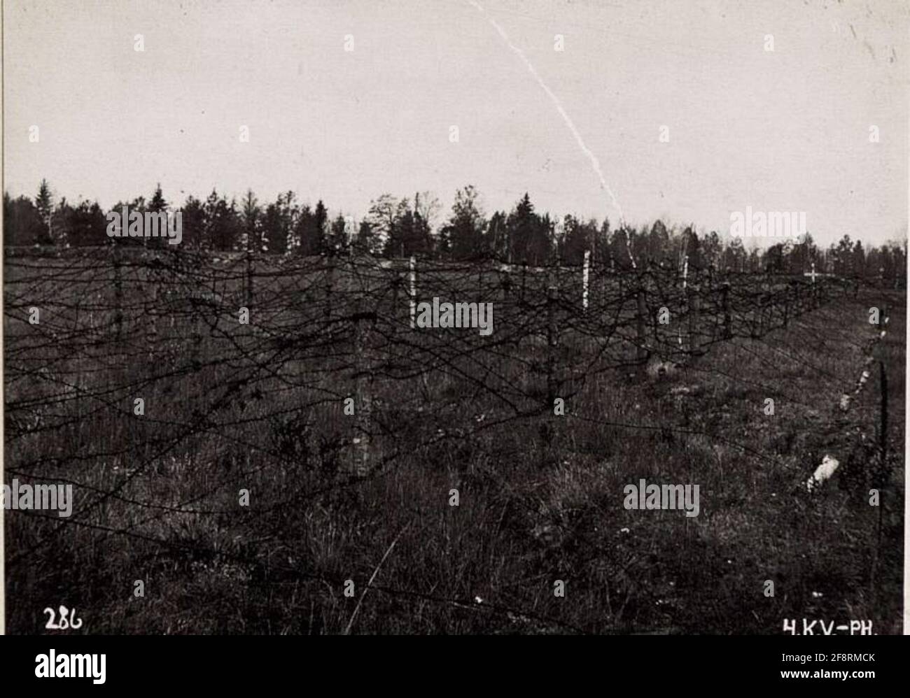 Second position hi-res stock photography and images - Alamy