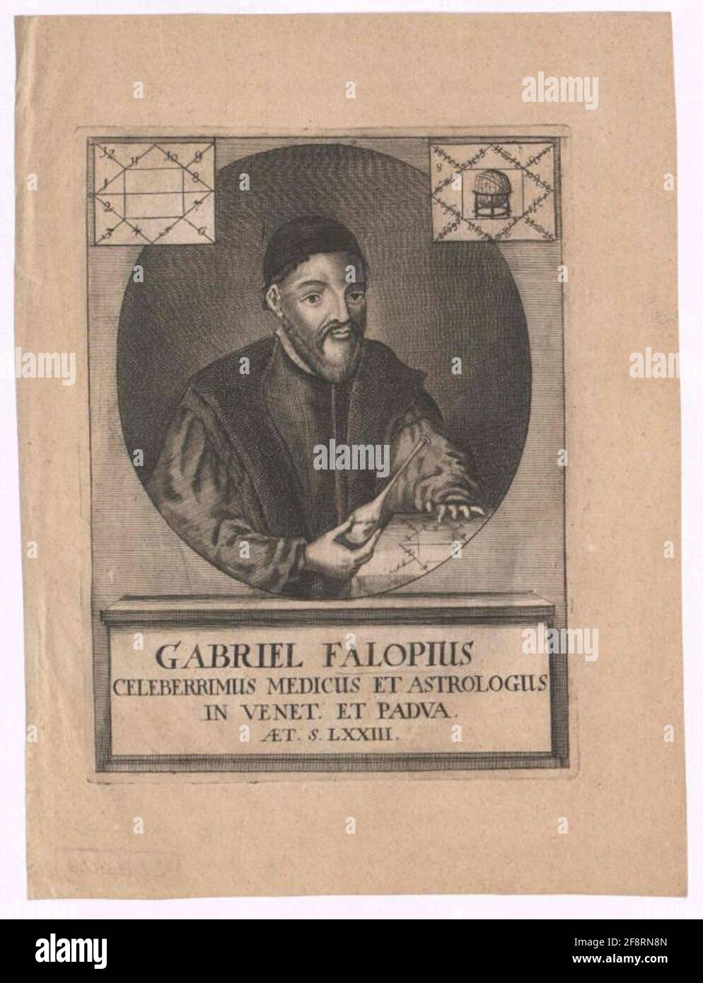 Falloppio, Gabriele Stock Photo - Alamy