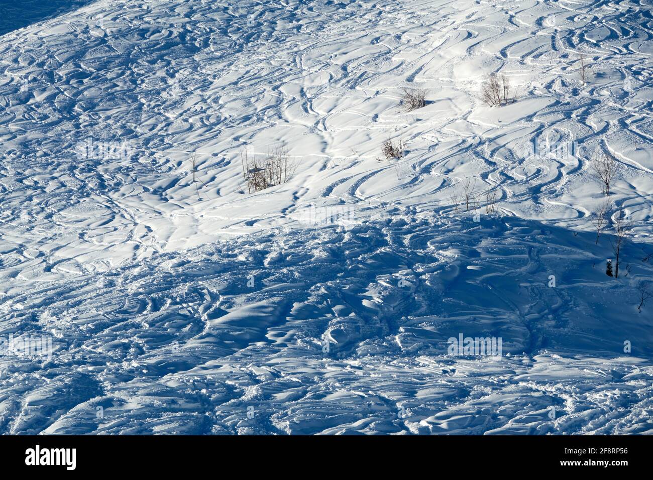 deep ski and snowboard tracks in the snow Stock Photo - Alamy