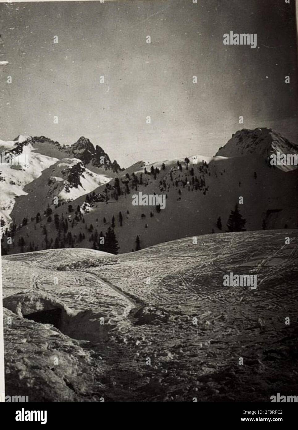 Caliga hi-res stock photography and images - Alamy