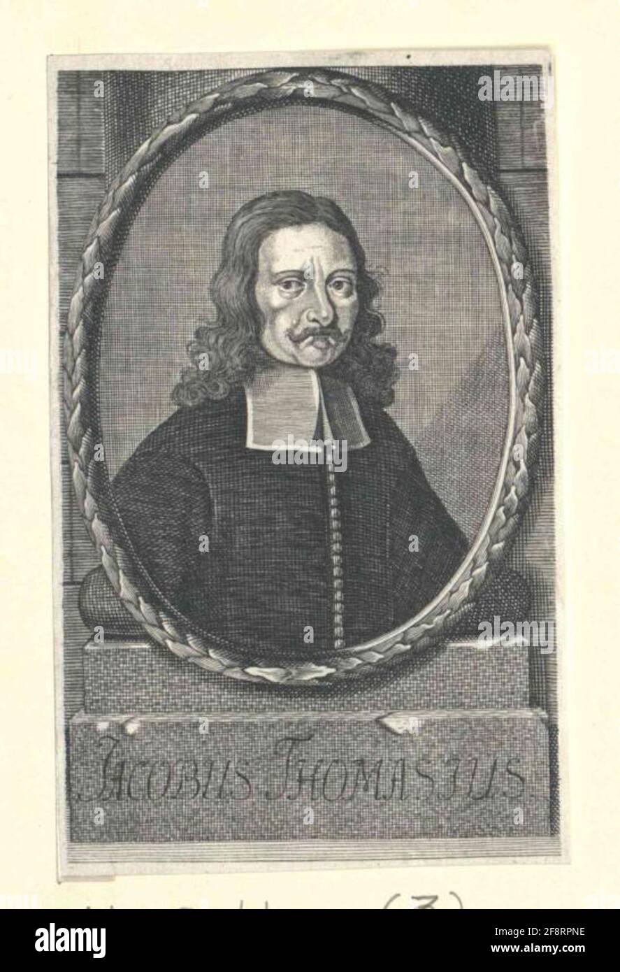 Thomasius hi-res stock photography and images - Alamy