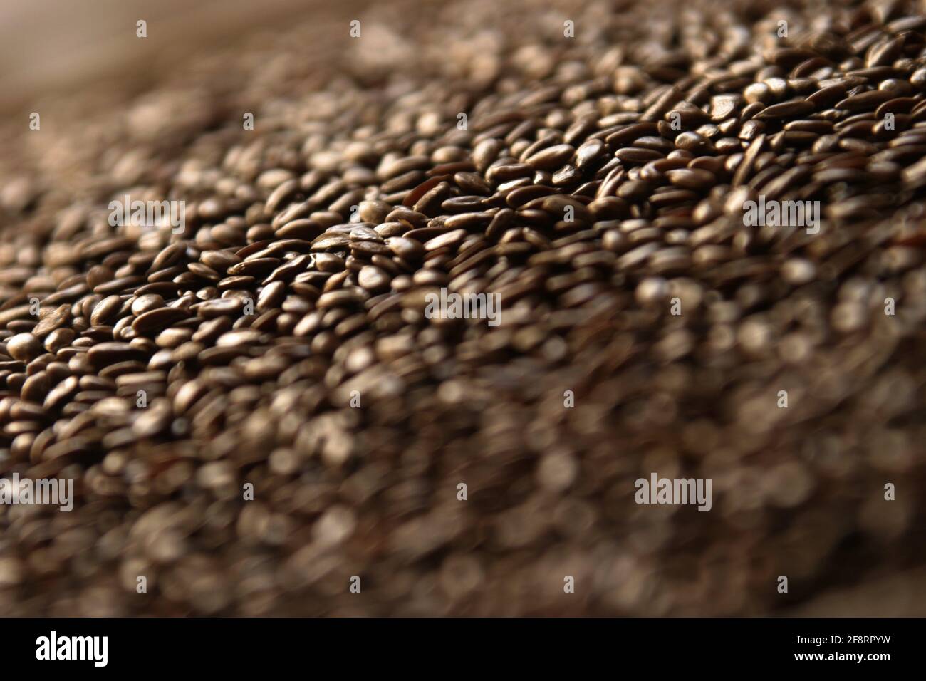 Flaxseed flower hi-res stock photography and images - Alamy