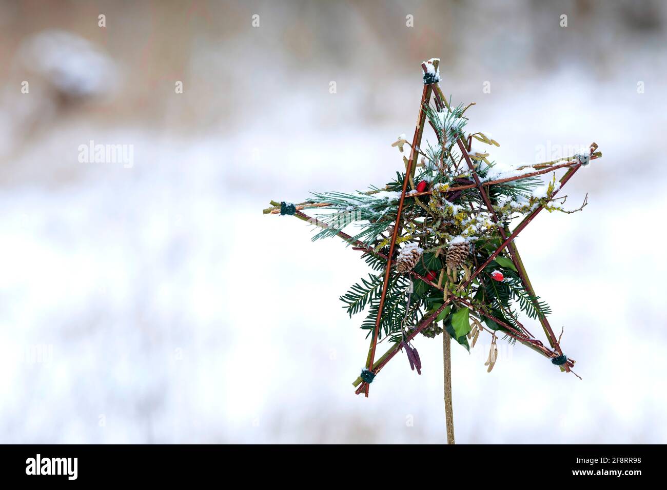 homemade Advent star made of twigs with ivy, rose hips, yew and pine ...