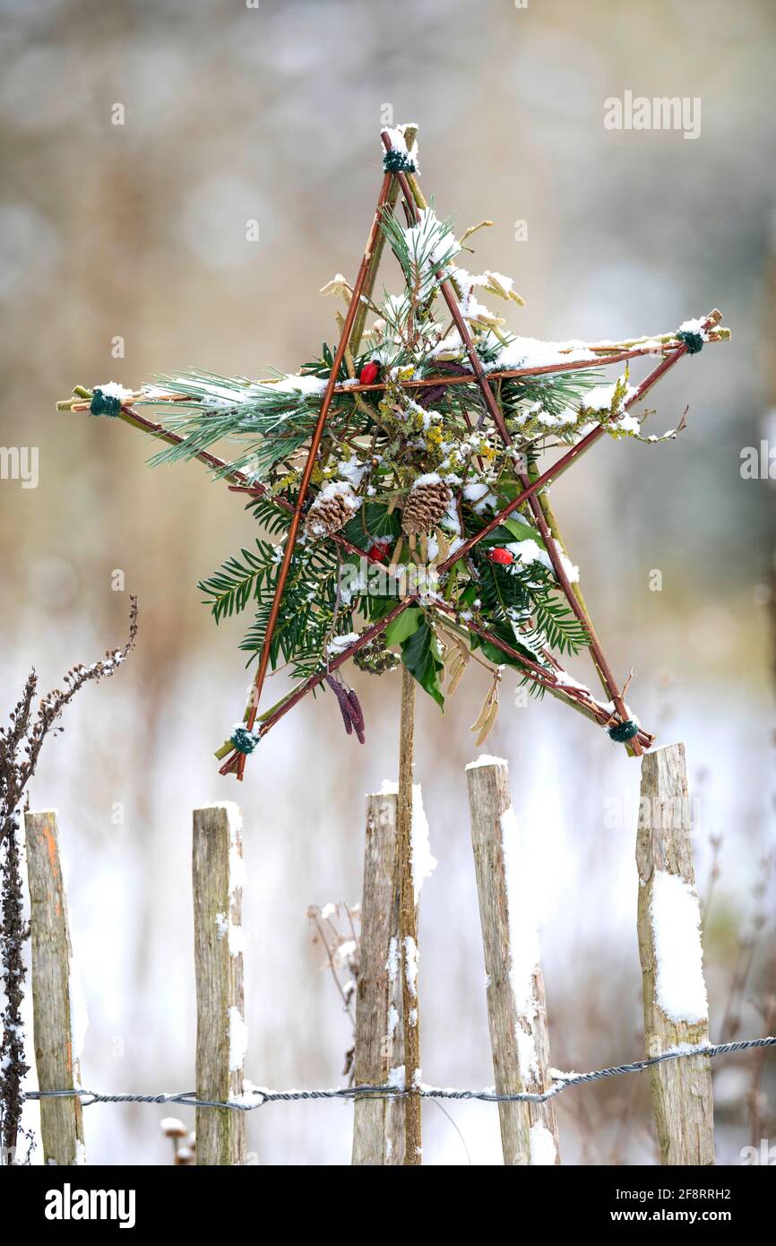 Christmas ivy and yew decoration hi-res stock photography and images ...
