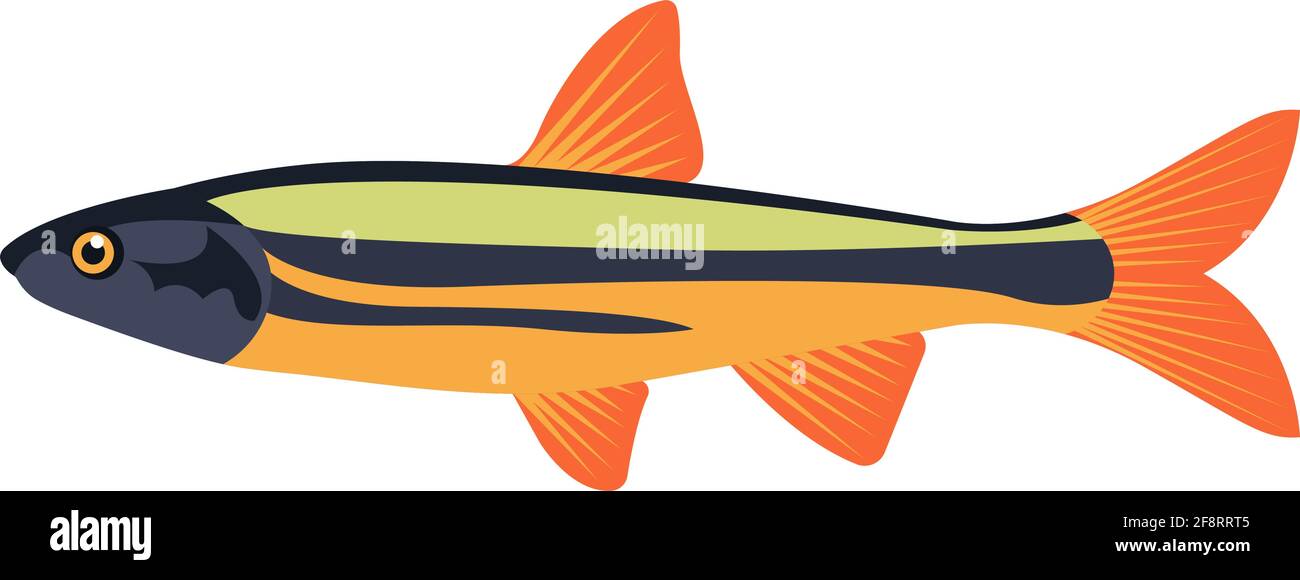 Vector fish skalled redfin sea or ocean underwater life Stock Vector ...