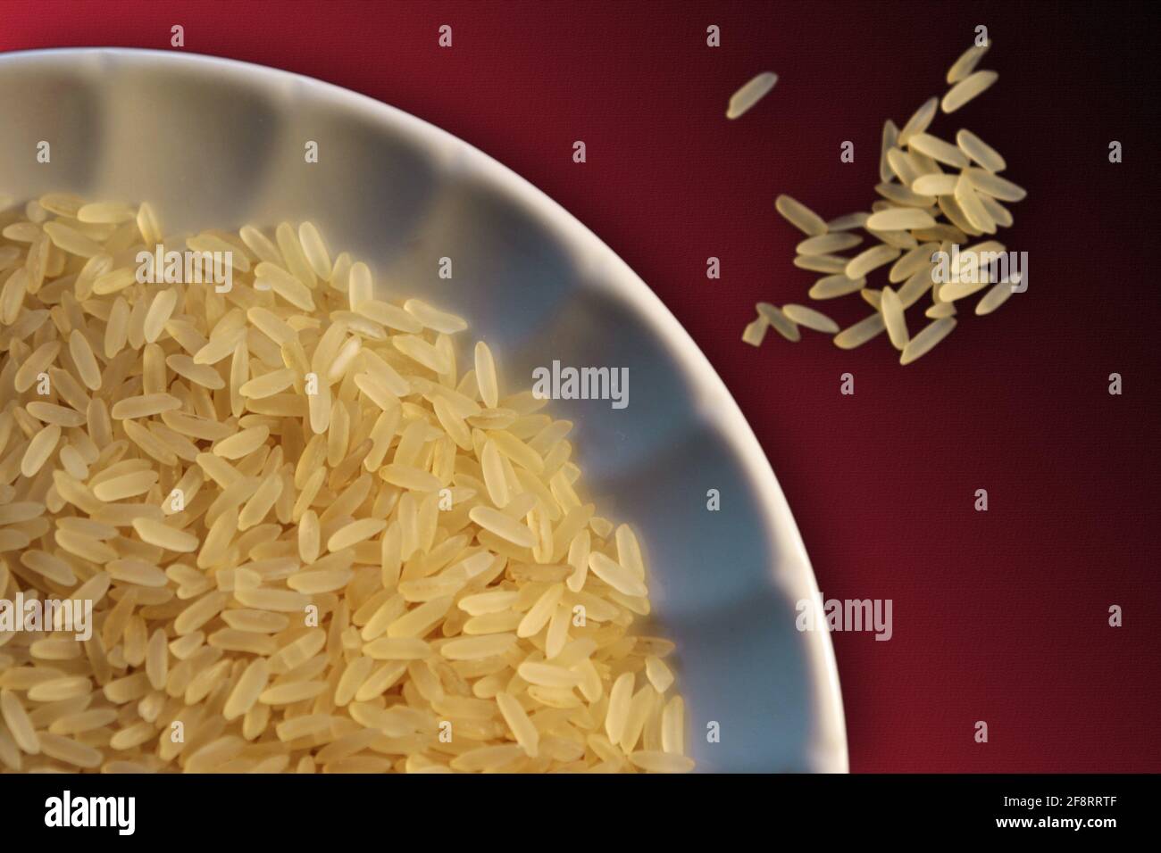 common rice (Oryza sativa), long grain rice Stock Photo - Alamy