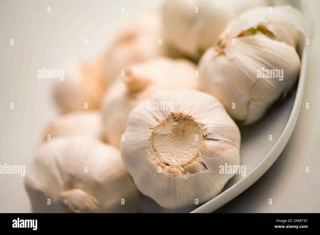 common garlic (Allium sativum), garlic bulbs on a plate Stock Photo - Alamy