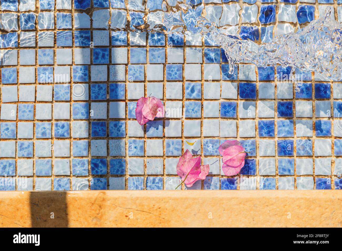 Pink petals in the pool. Water texture on blue tiles background Stock ...