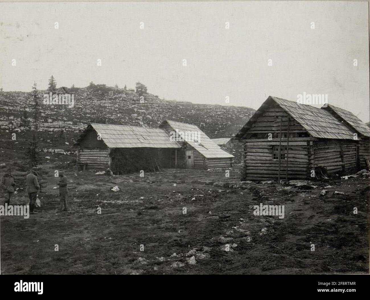 High growth areas hi-res stock photography and images - Alamy