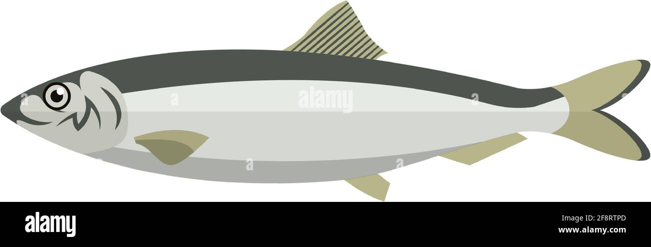 Vector fish baltic herring sea underwater wildlife Stock Vector Image ...