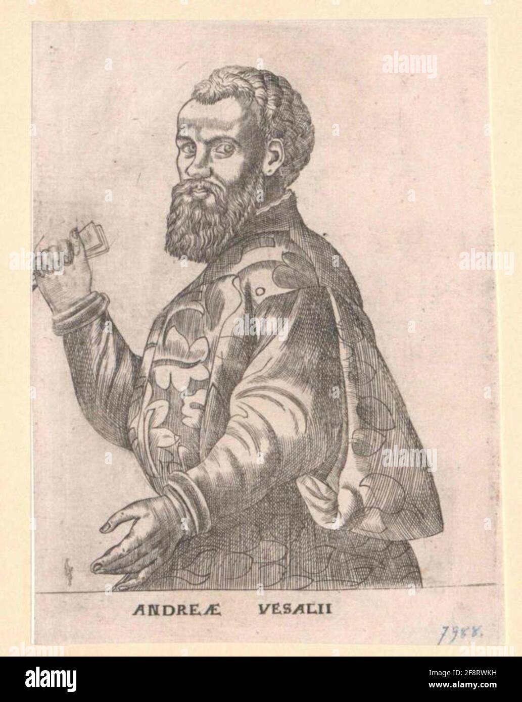 Vesalius skeleton hi-res stock photography and images - Alamy
