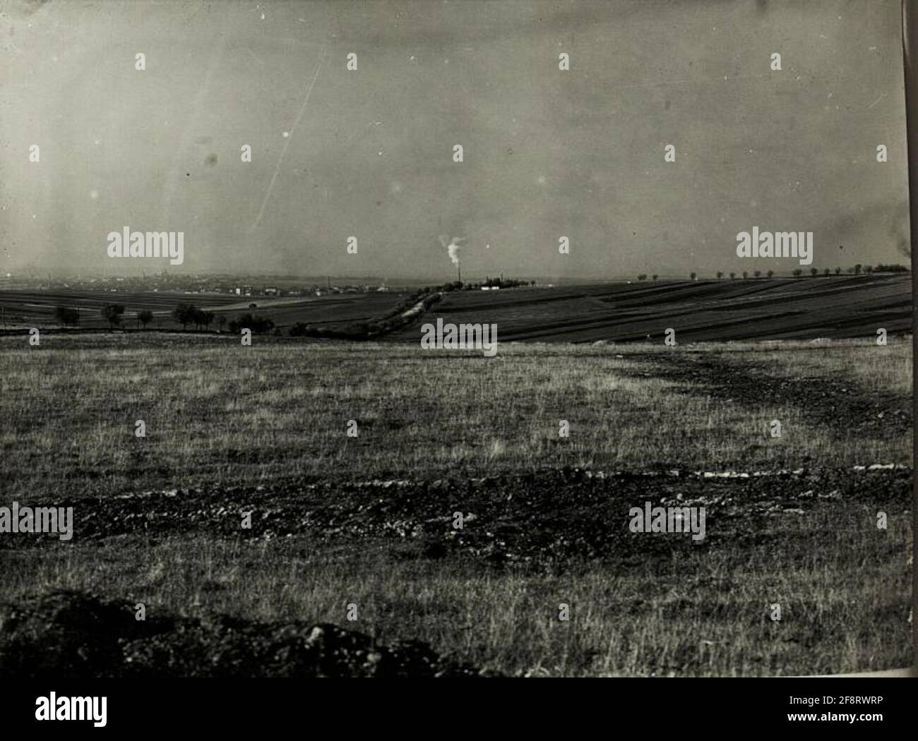 Drohobycz hi-res stock photography and images - Alamy