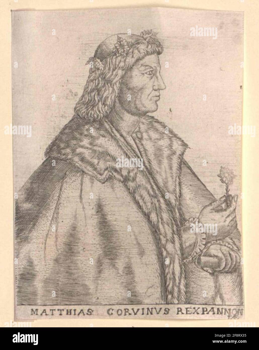 Matthias I. Corvinus, King of Hungary Stock Photo - Alamy