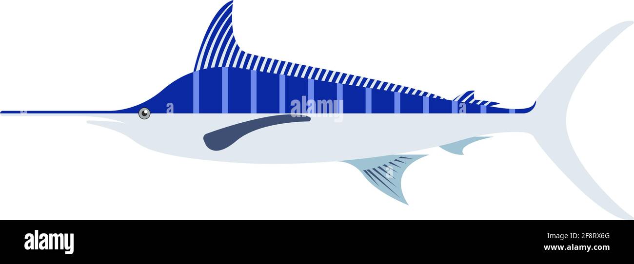 Atlantic blue marlin sharp nose fish vector illustration Stock Vector ...