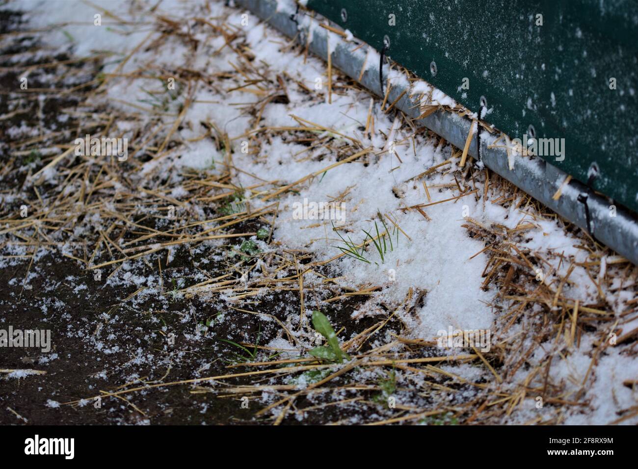 Ground straw texture hi-res stock photography and images - Alamy