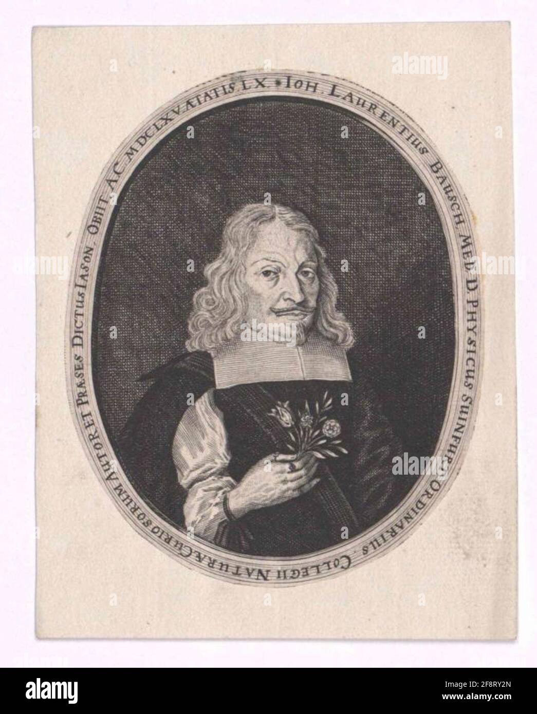 Johann bauhin hi-res stock photography and images - Alamy