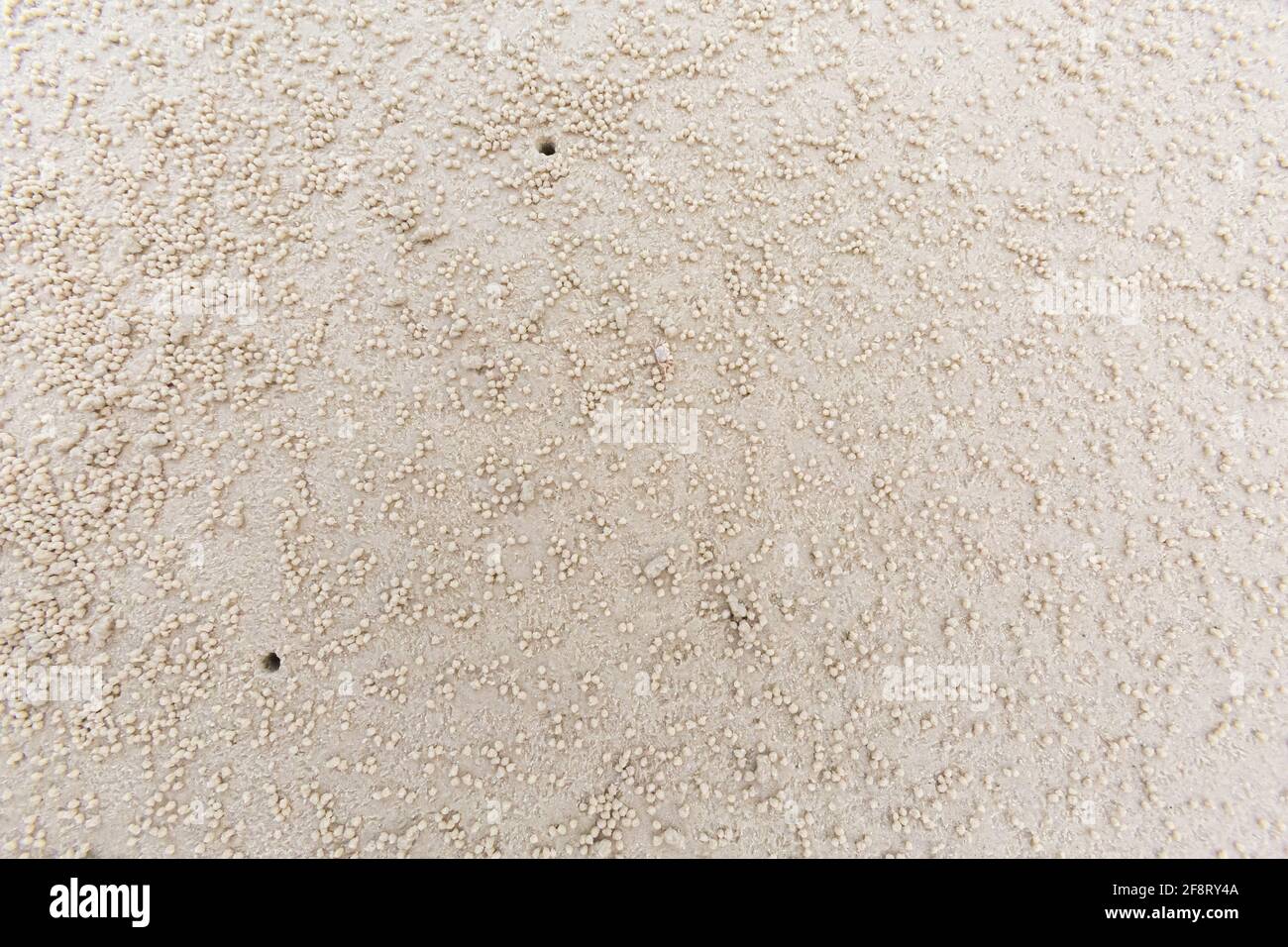 Beautiful landscape of crab pellets in Bai Tam beach, Quan Lan island ...