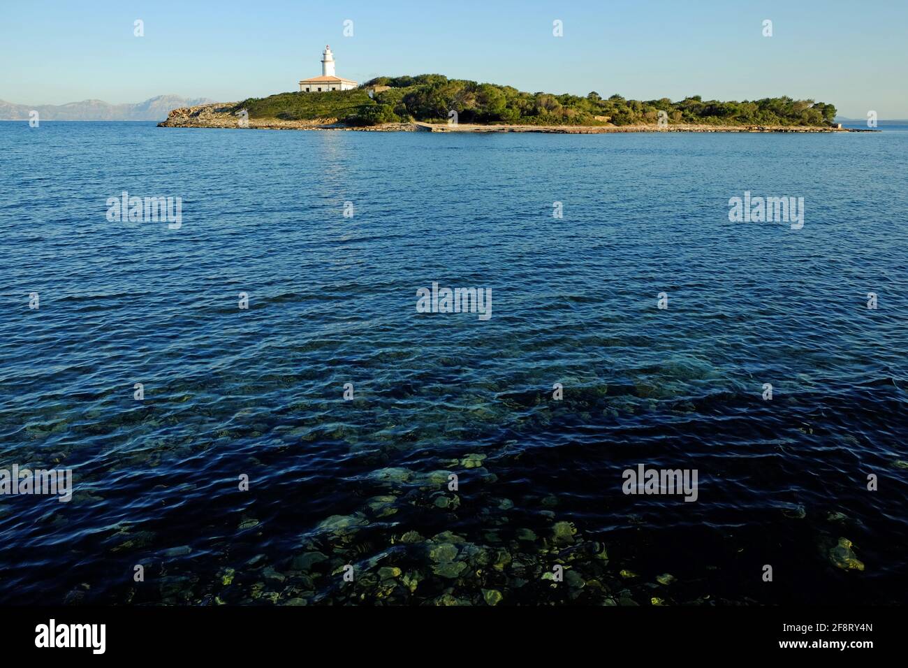 Balearic goat hi-res stock photography and images - Alamy