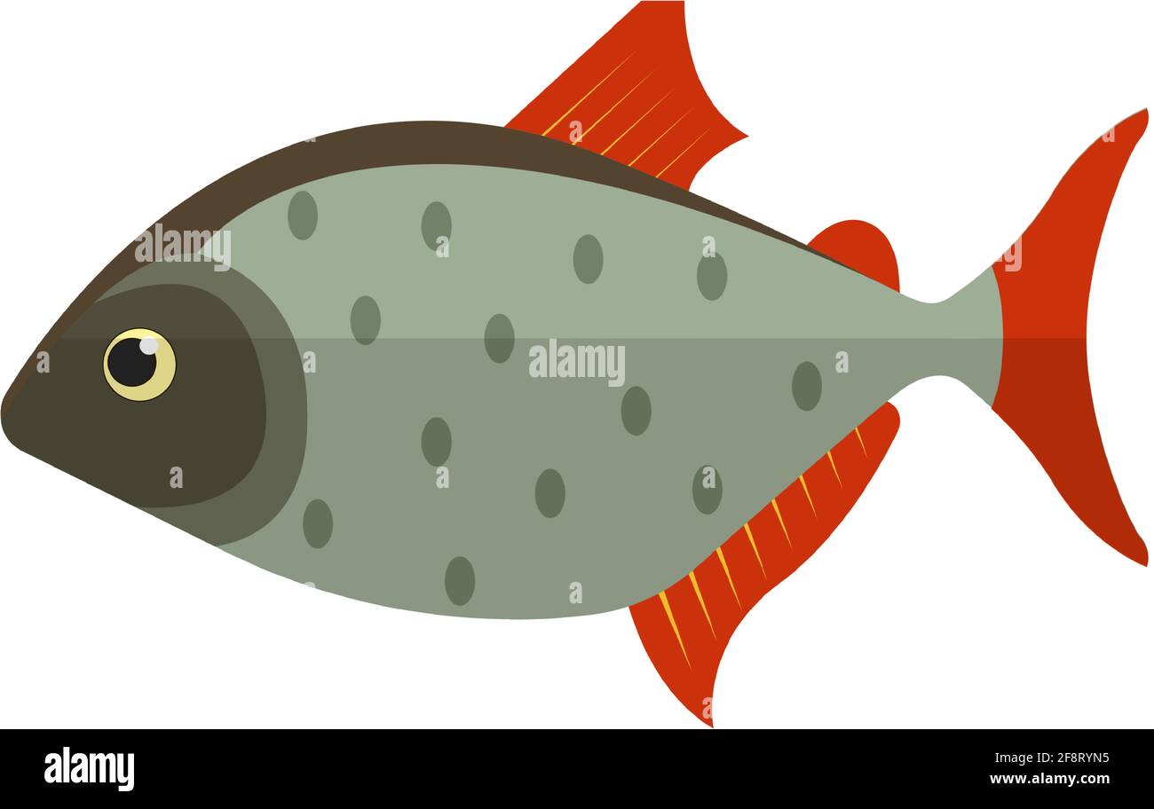 Piranha fish vector icon isolated on white background Stock Vector ...