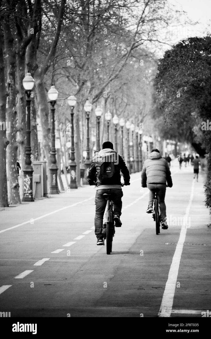 lane, bicycle, bike, cyclists,bikers, rear, view, riding, people ...
