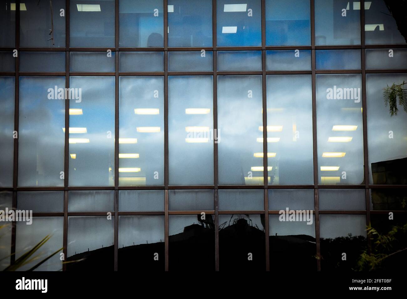 Office, building, reflections, dusk, glass, lights, business, dark ...