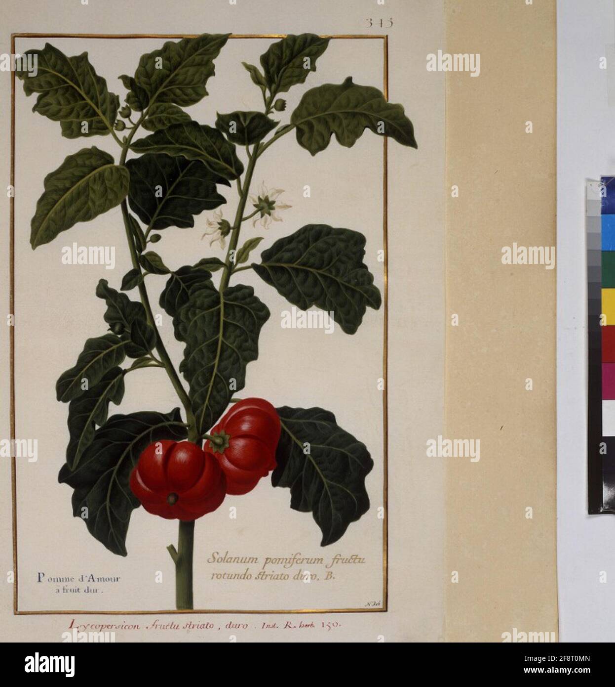 Nicolas rotundo hi-res stock photography and images - Alamy